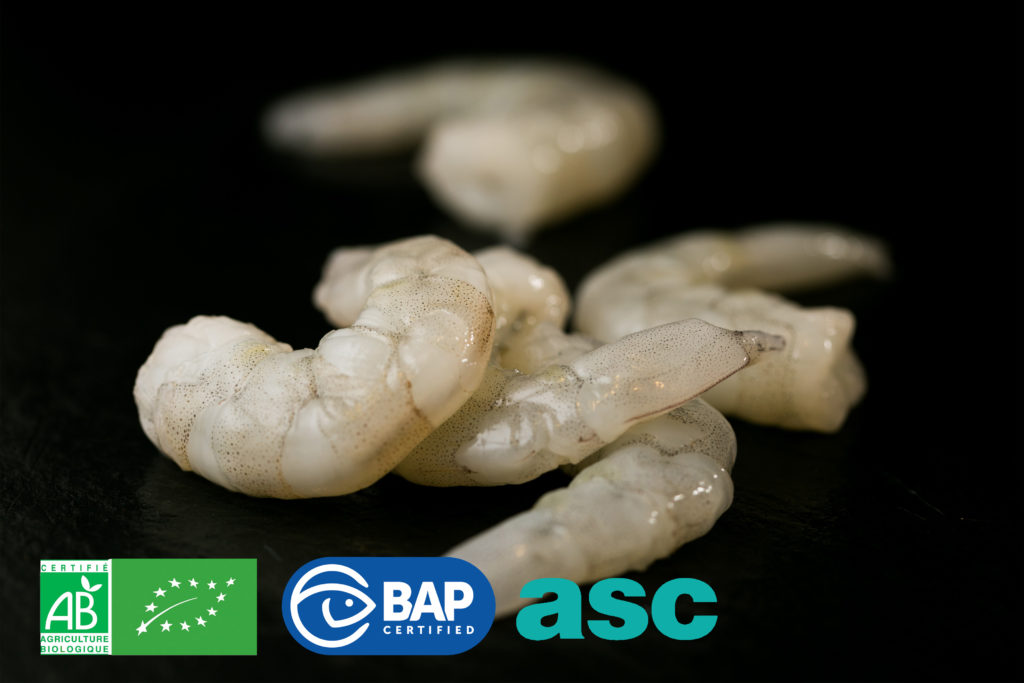Raw PTO shrimp - Crustamar - Importateur Produits de la mer surgelés